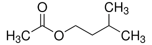 Isoamyl acetate Supplier | 123-92-2 | Your Reliable Distributor ...